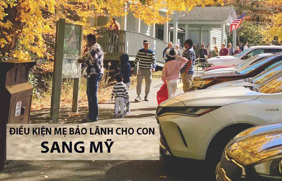 Hướng dẫn hồ sơ mẹ bảo lãnh con sang Mỹ cần giấy tờ gì?